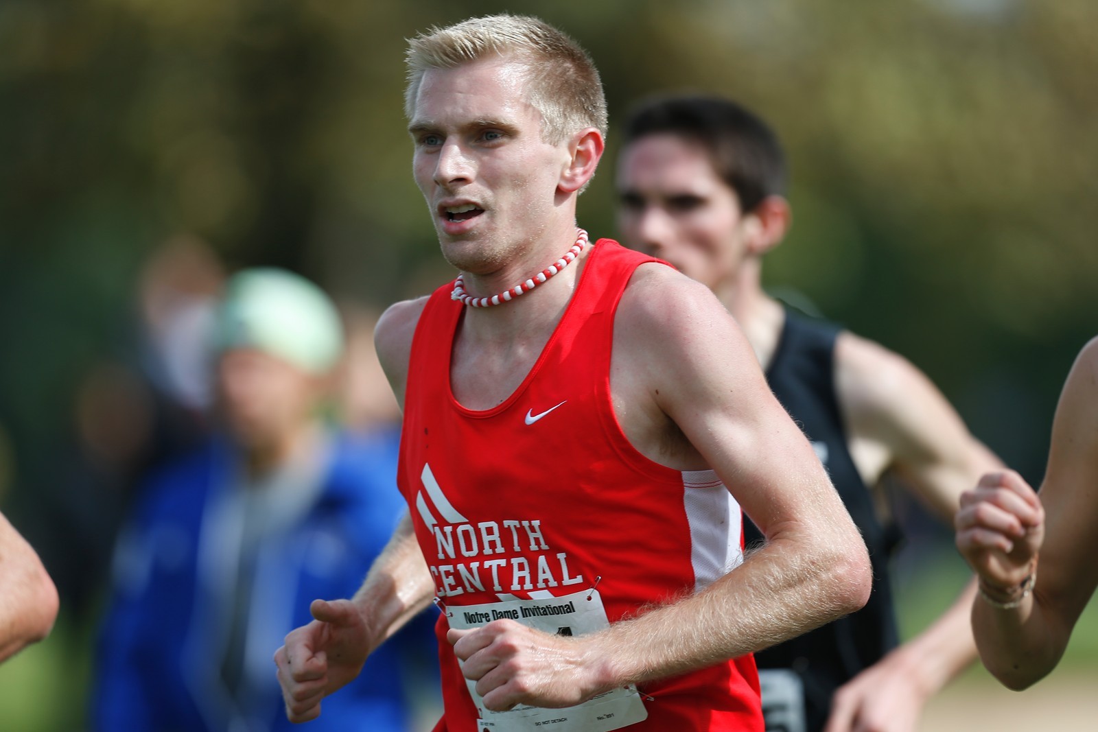 Ryan Root - Men's Cross Country - North Central College Athletics
