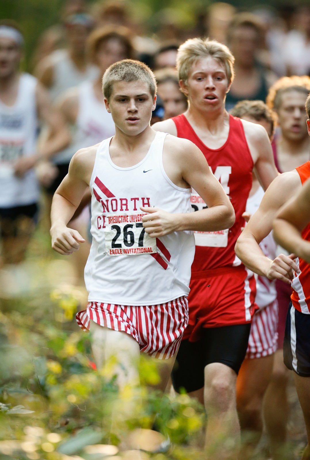 Lane Hoffman - Men's Track and Field - North Central College Athletics