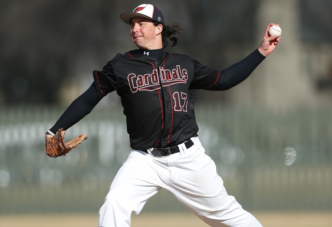 Connor Brown - Baseball - North Central College Athletics