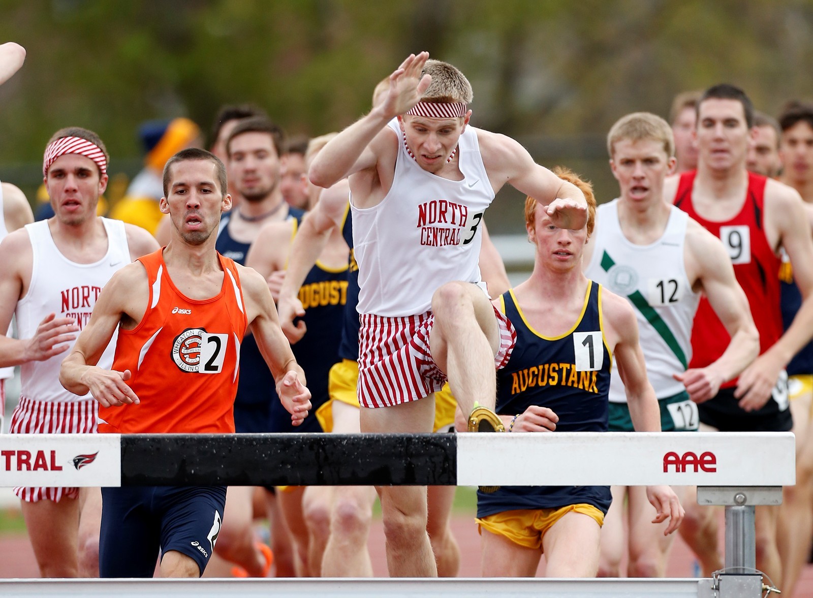 Ryan Root - Men's Track and Field - North Central College Athletics