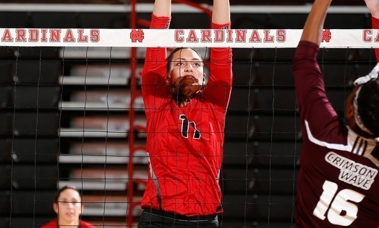 Amanda Walker - Women's Volleyball - North Central College Athletics