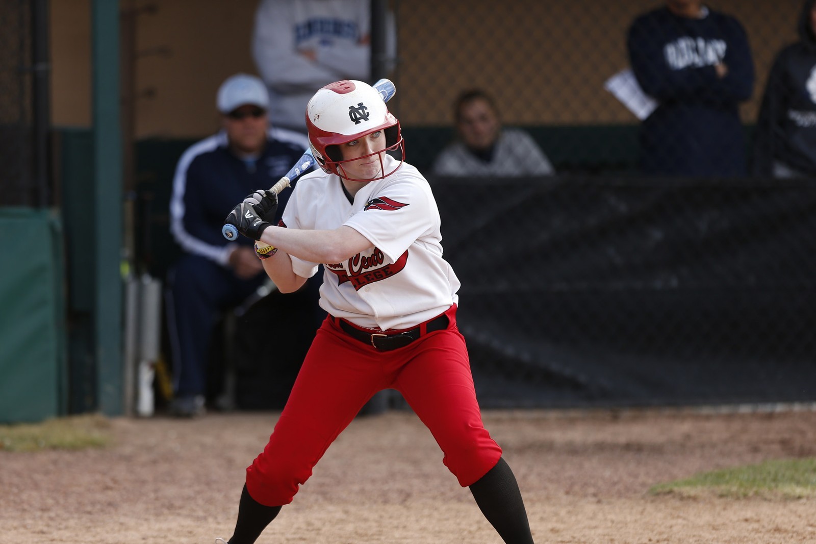 Jordan Johnson - Softball - North Central College Athletics