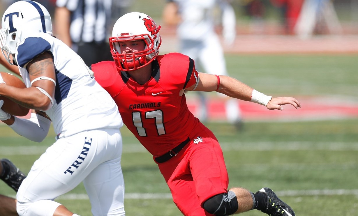 Mike Zebold - Football - North Central College Athletics