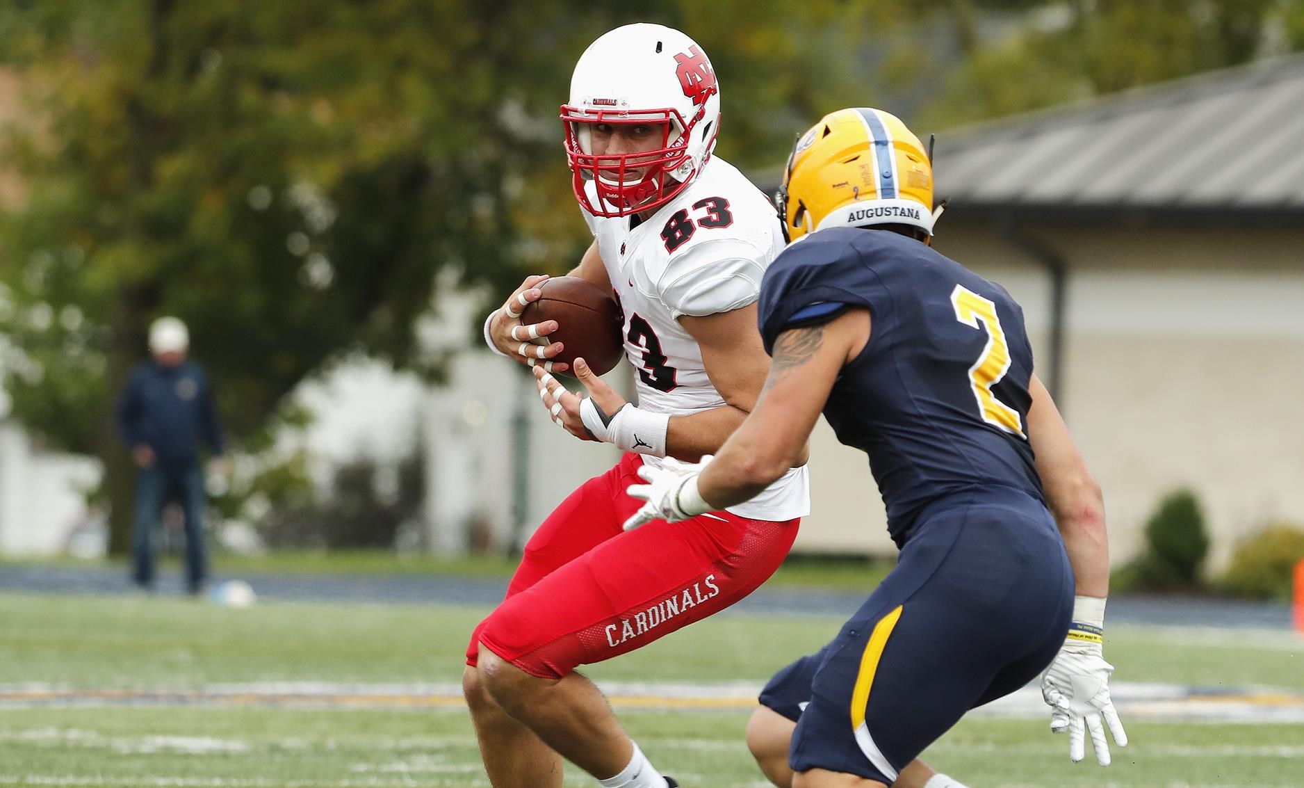 Tyler Egan - Football - North Central College Athletics