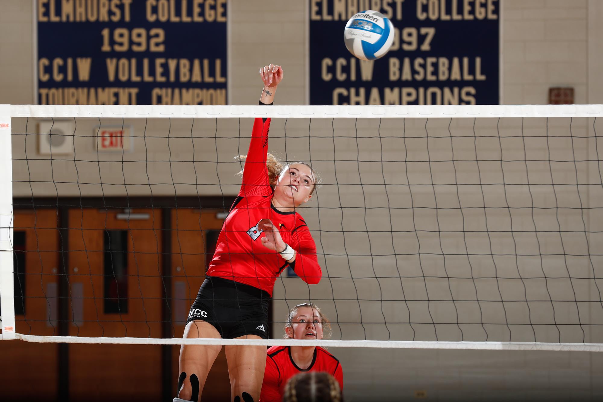 Anna Billman - Women's Volleyball - North Central College Athletics
