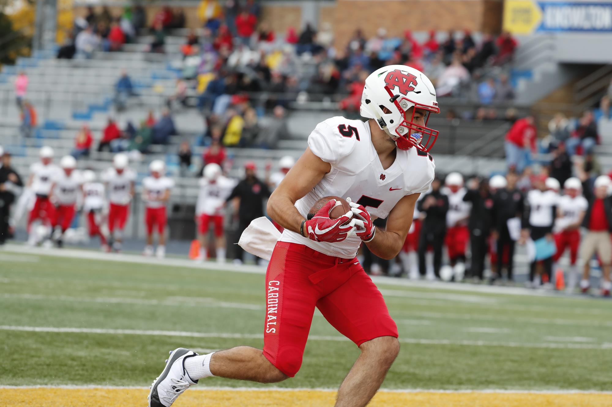 Michael Sfikas - Football - North Central College Athletics