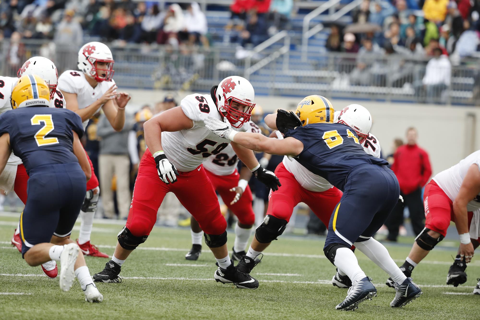 Colton Bauknecht - Football - North Central College Athletics