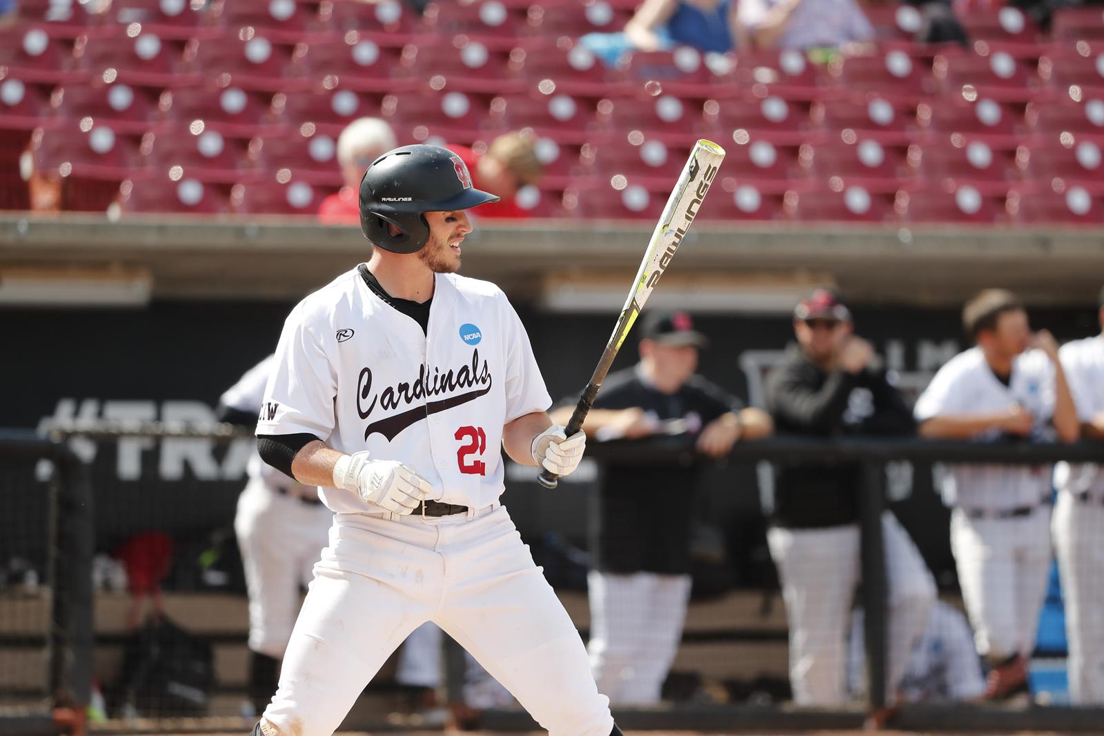 Michael Mateja - Baseball - North Central College Athletics