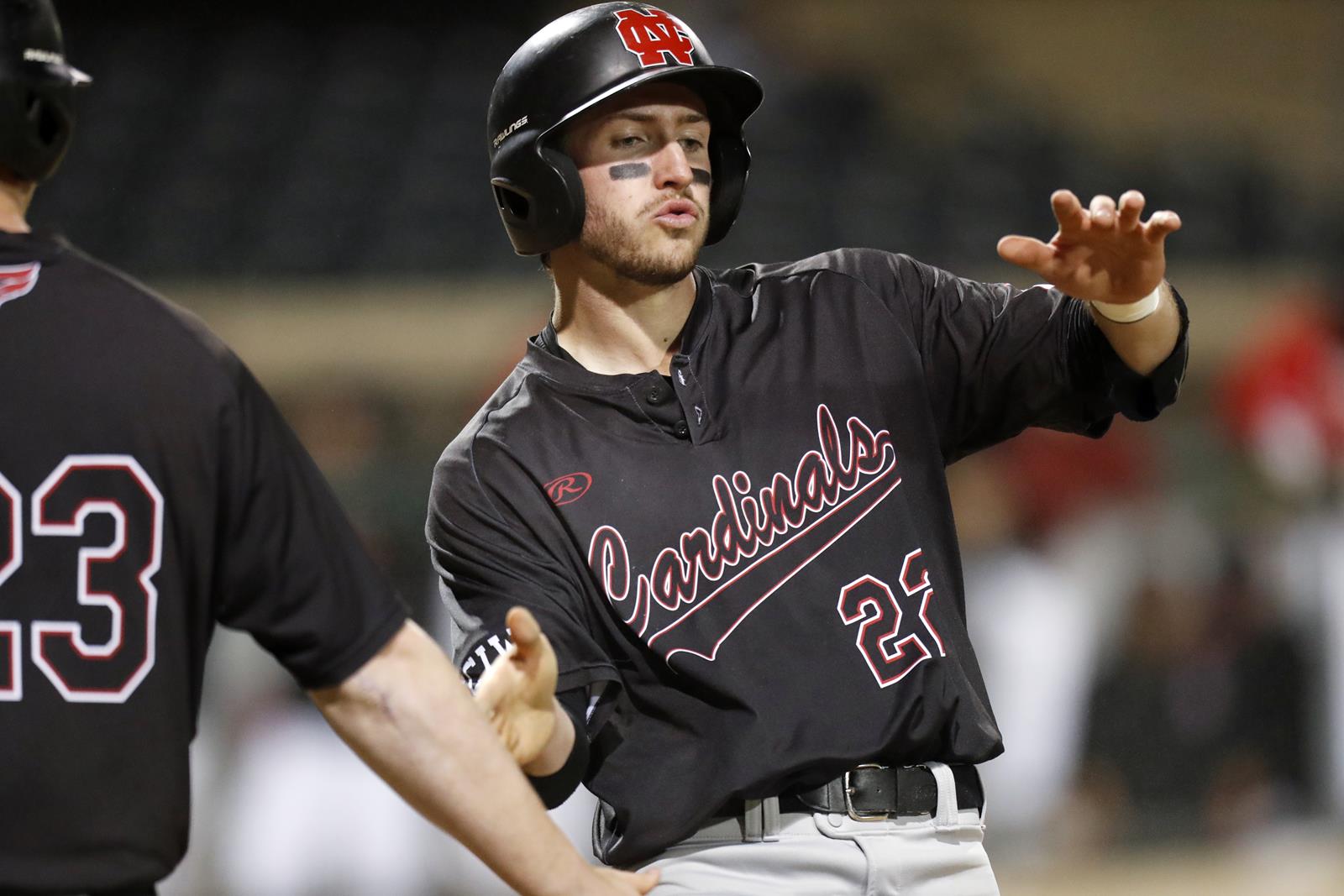 Michael Mateja - Baseball - North Central College Athletics