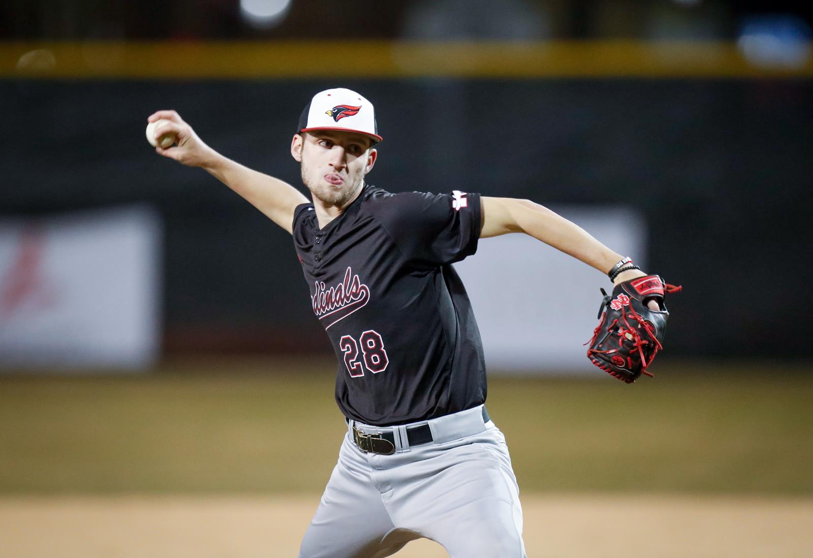 Nick Rogalski - Baseball - North Central College Athletics