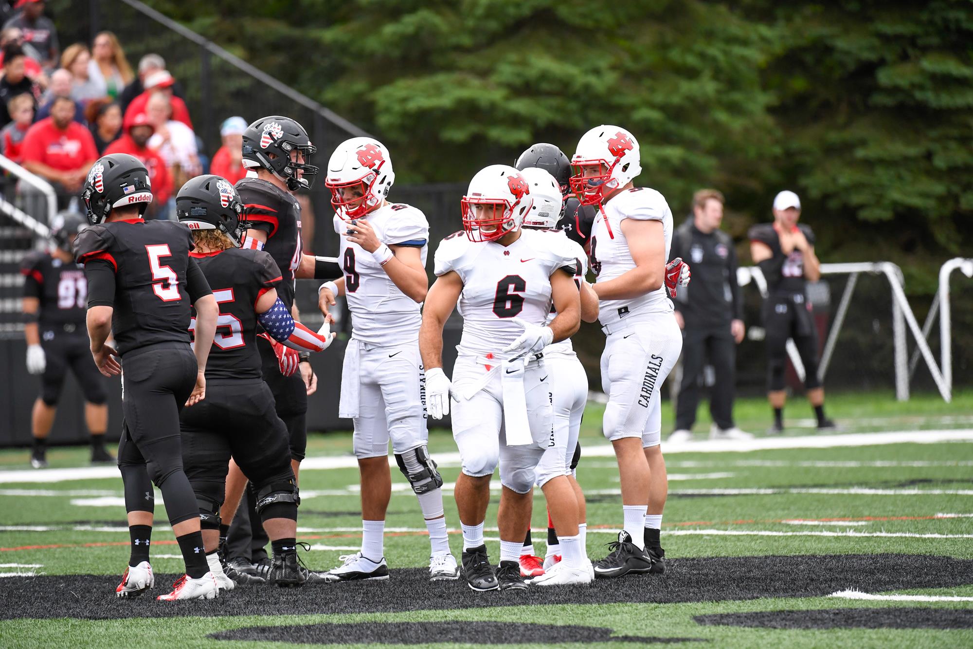 Cardinals Maintain No. 5 Ranking in Football Polls - North Central ...