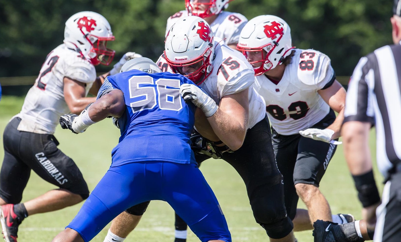 Ricky Strba - Football - North Central College Athletics
