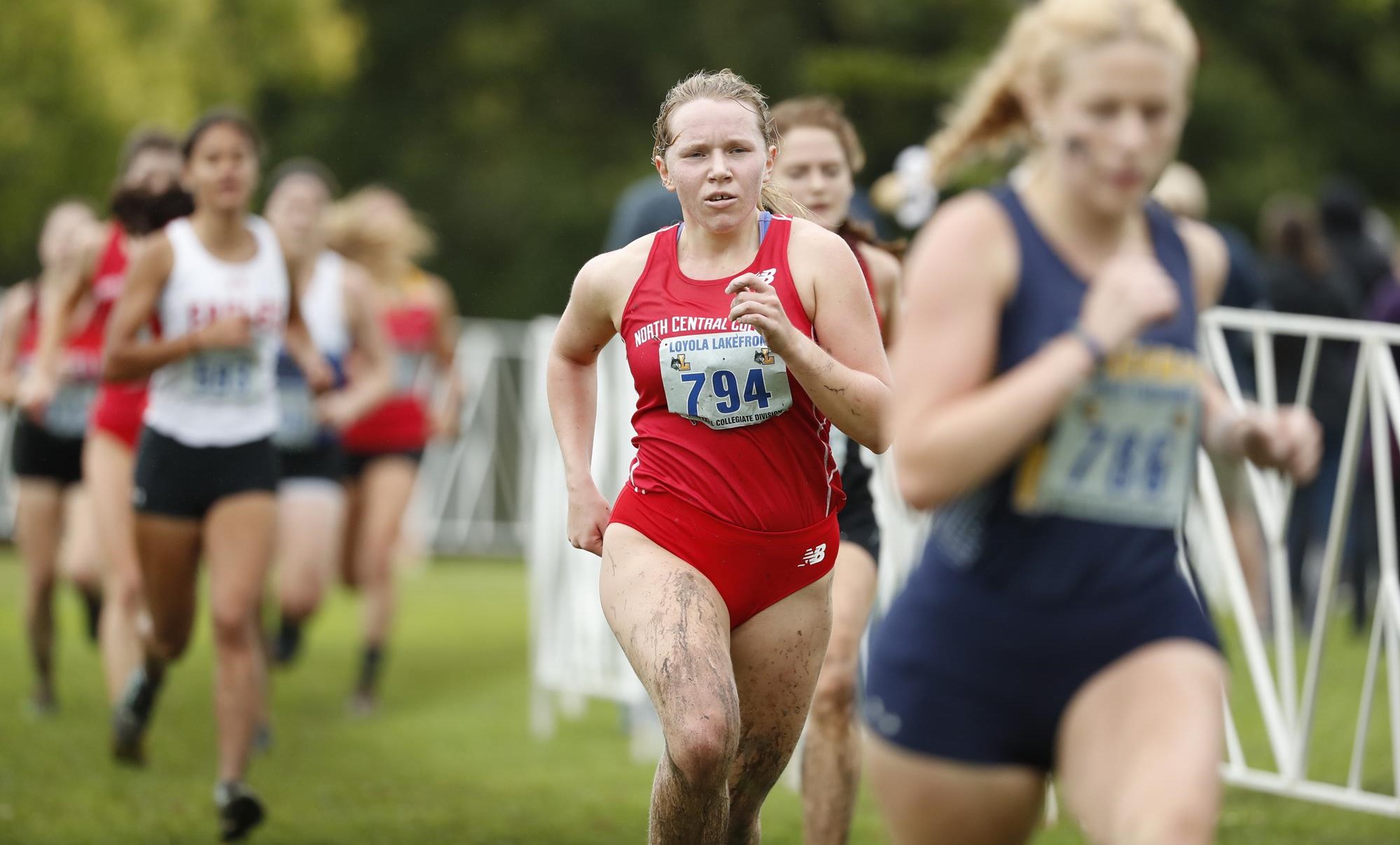 Natalie Cook - Women's Cross Country - North Central College Athletics