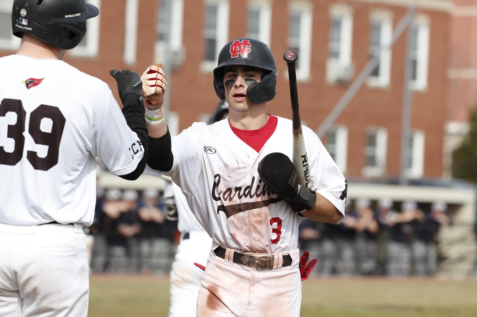 Michael Stoltz - Baseball - North Central College Athletics