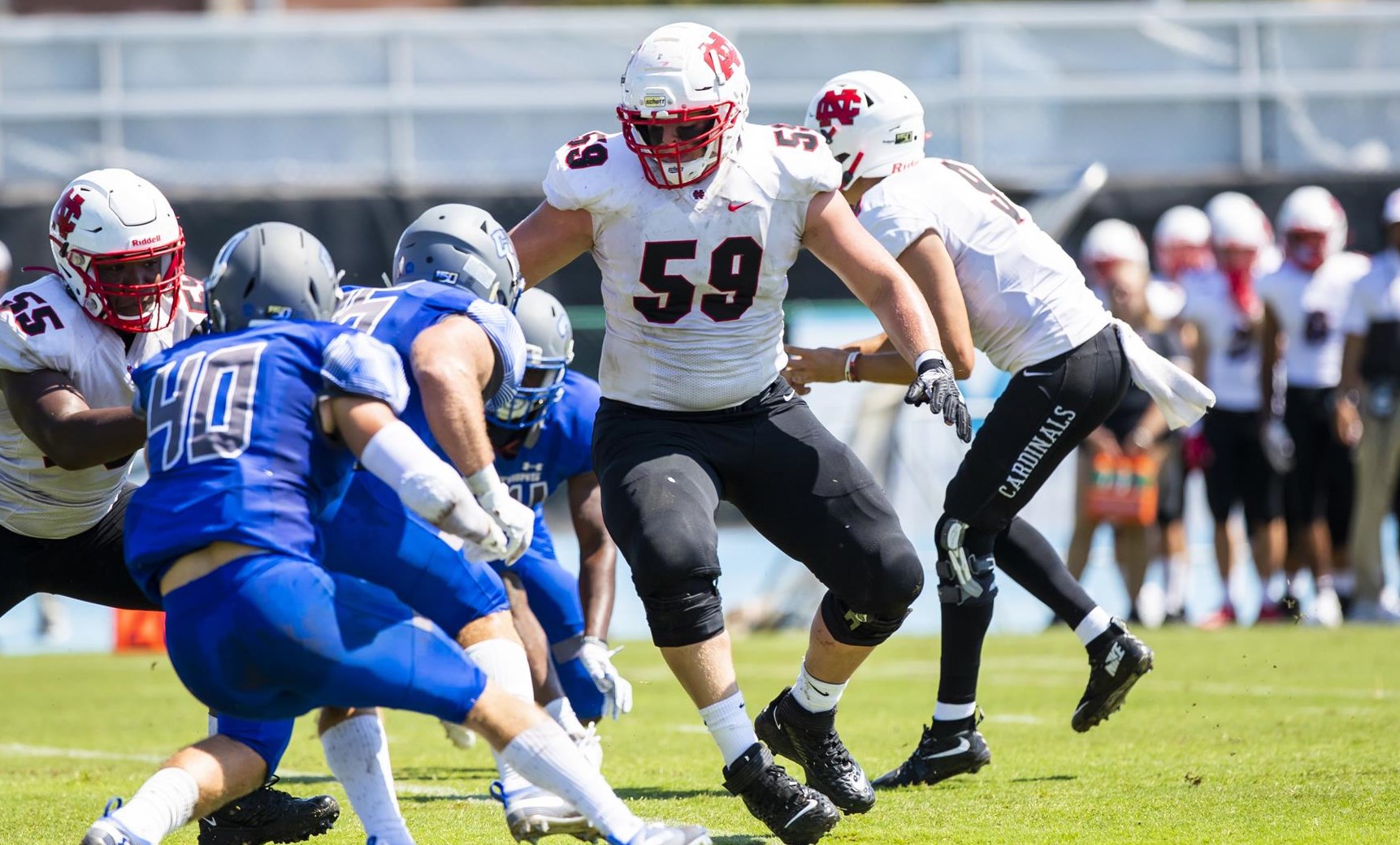 Colton Bauknecht - Football - North Central College Athletics