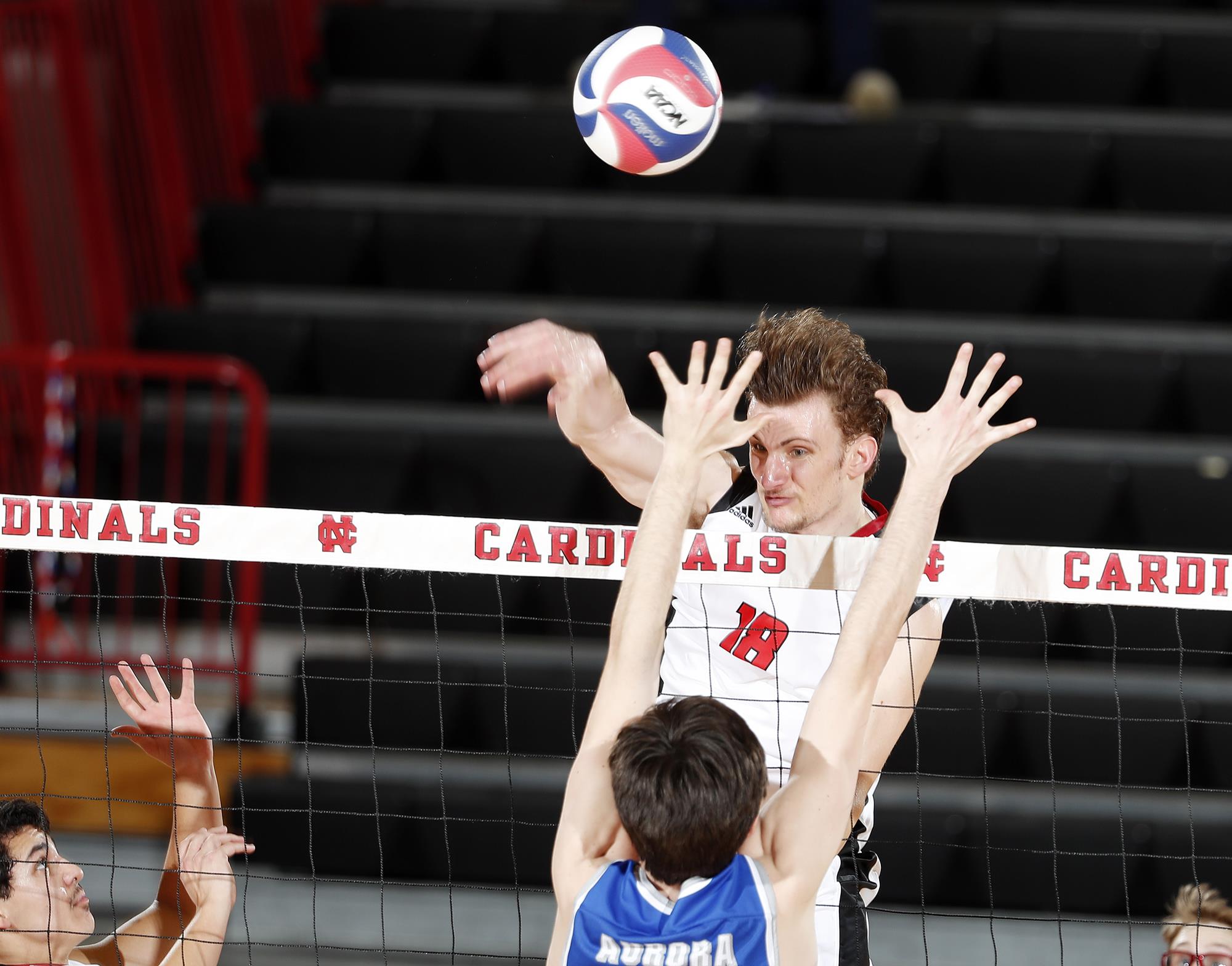 Justin Curtis - Men's Volleyball - North Central College Athletics