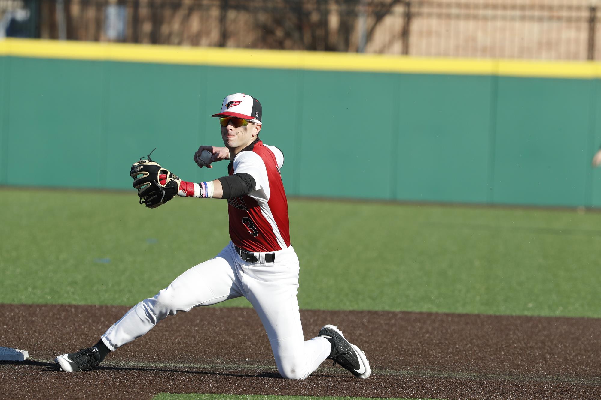Michael Stoltz - Baseball - North Central College Athletics