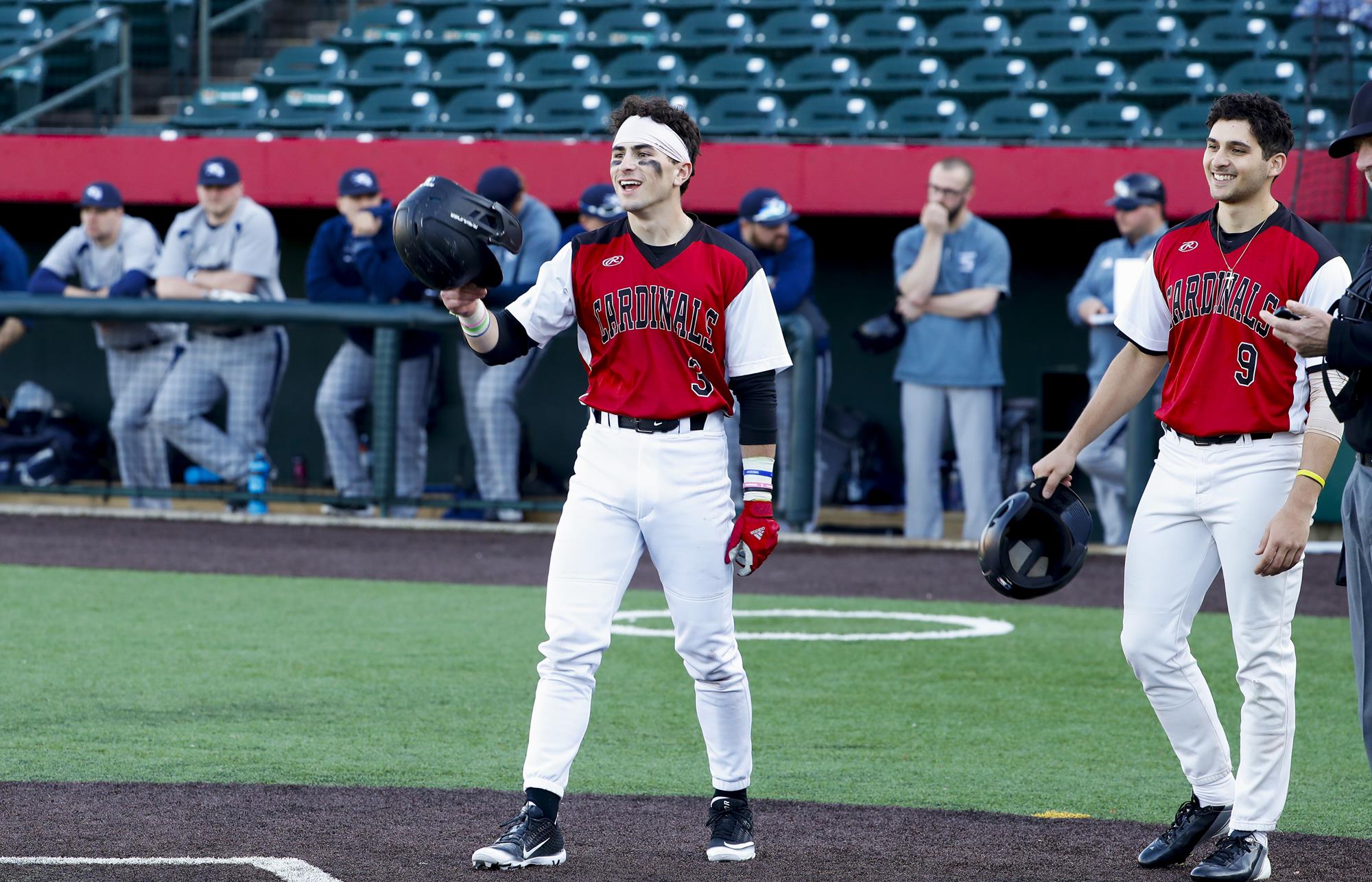 Michael Stoltz - Baseball - North Central College Athletics