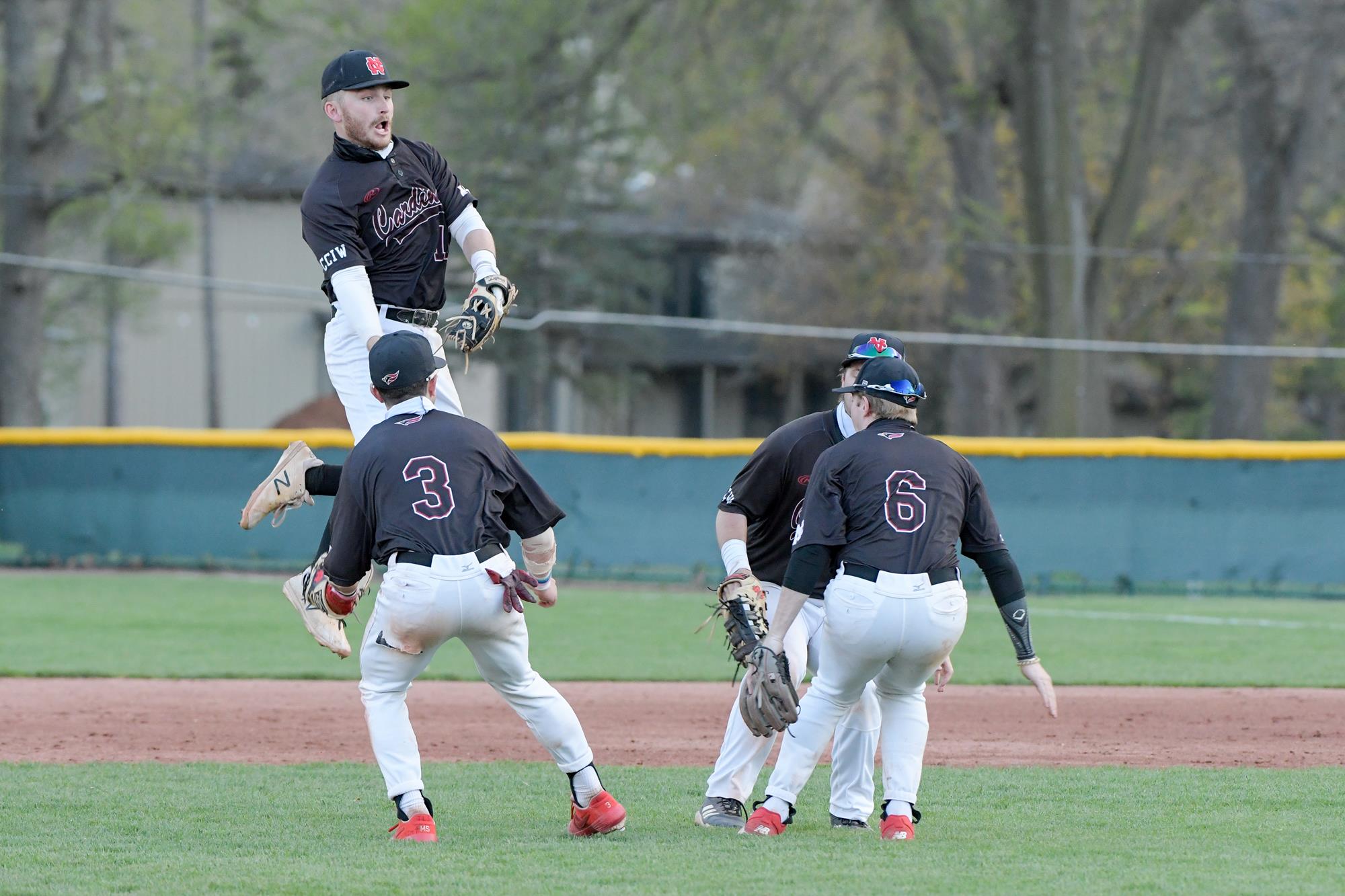 Cardinals Up Two Spots to Eighth in Top-25 Poll - North Central College ...