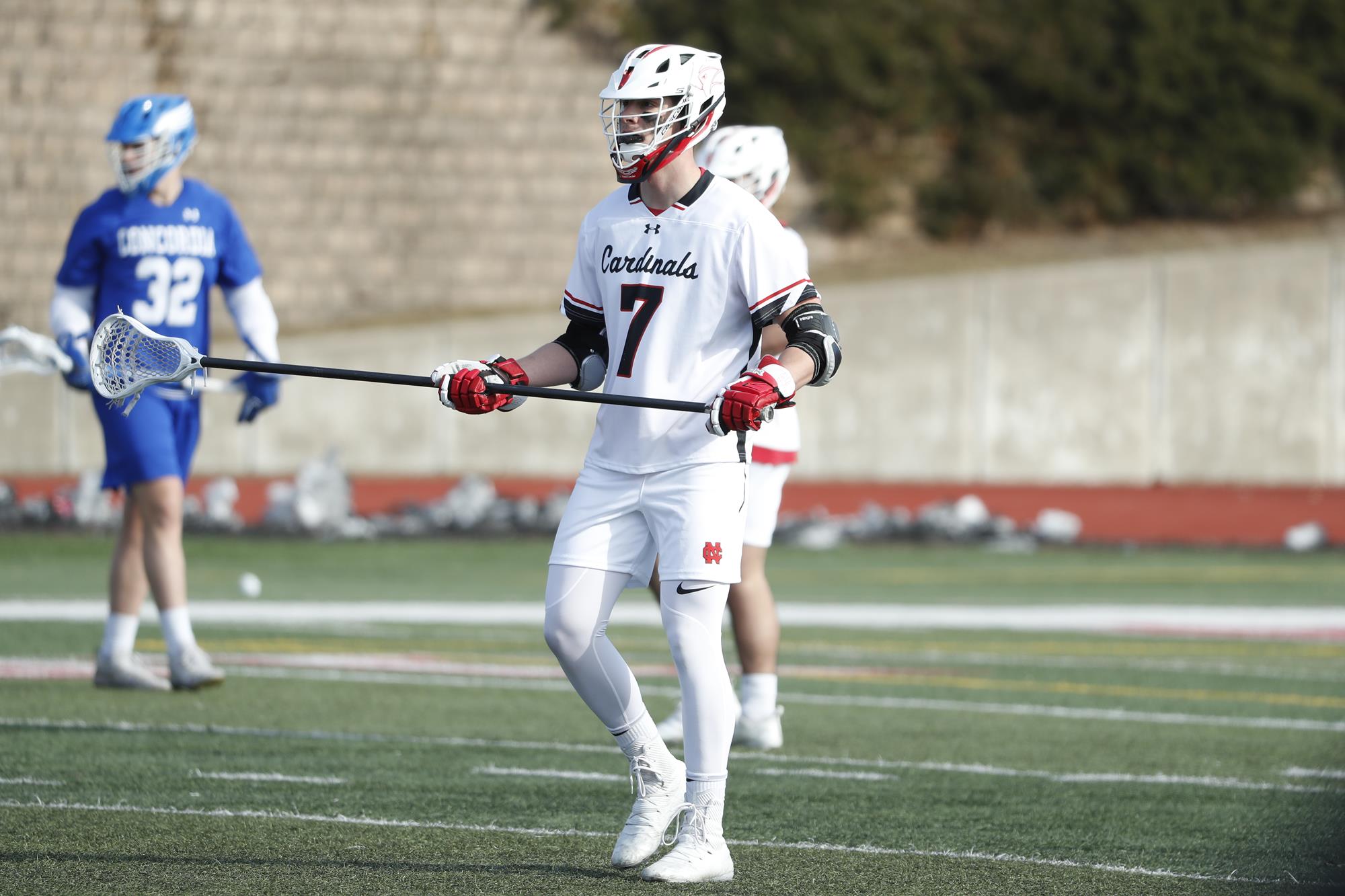 Trenton Herubin - Men's Lacrosse - North Central College Athletics