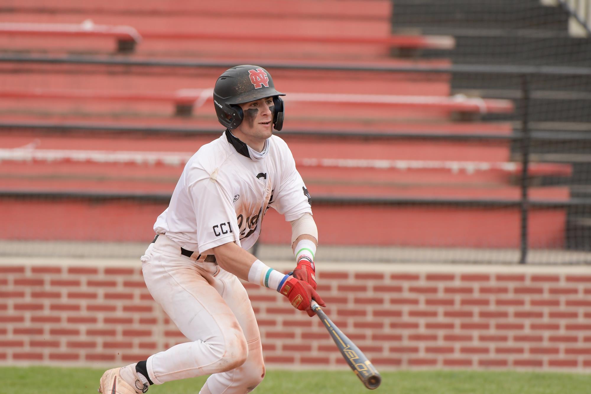 Michael Stoltz - Baseball - North Central College Athletics
