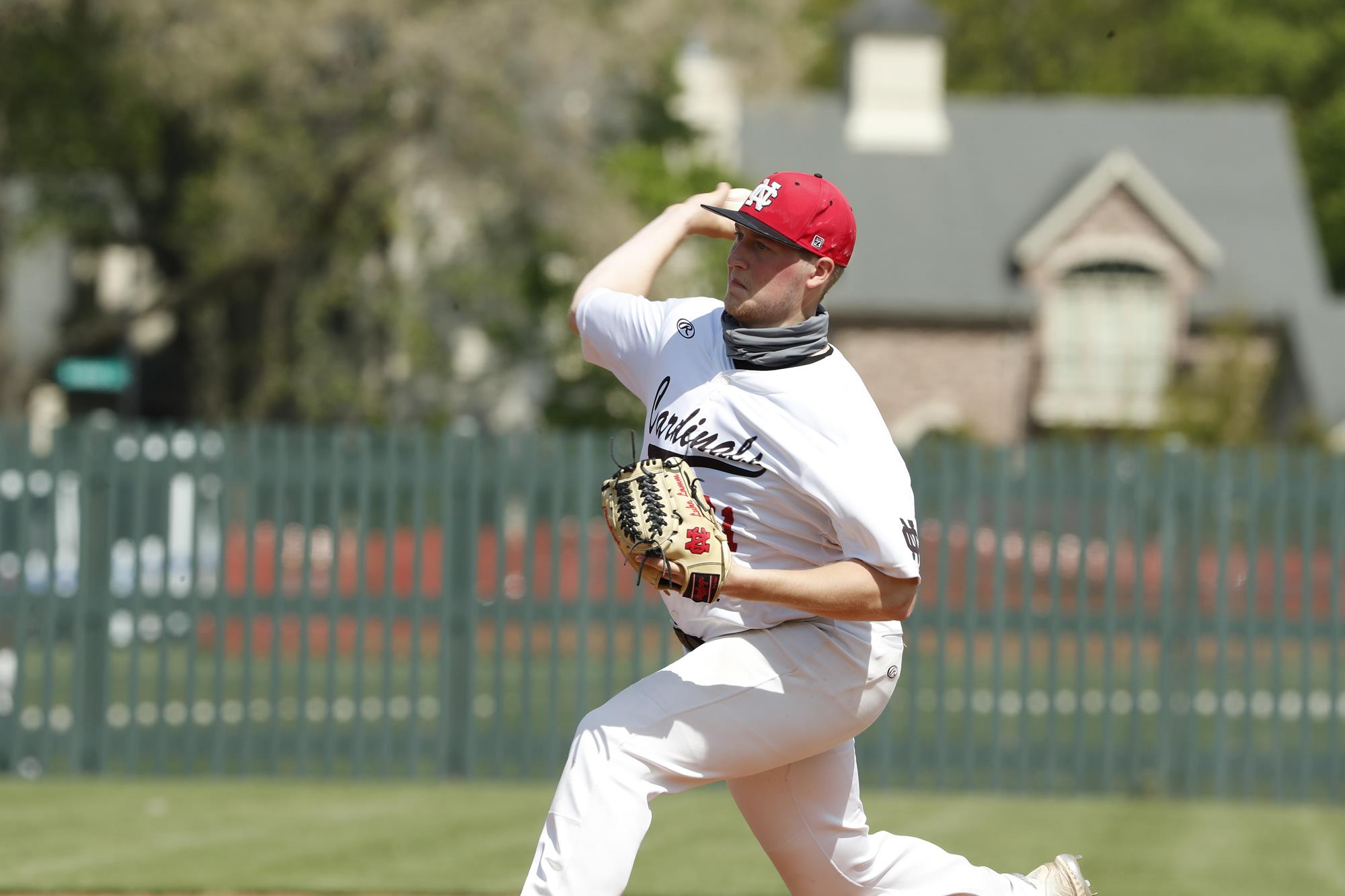 Lamm Earns CoSIDA Academic All-District Honors - North Central College ...