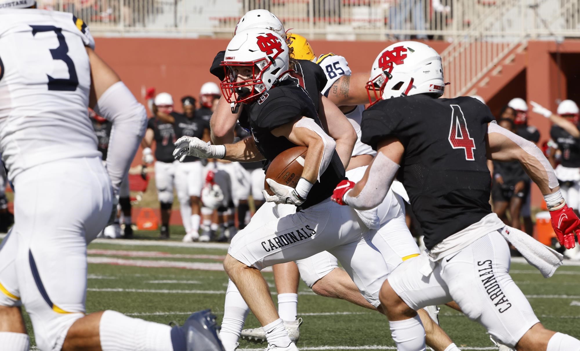 Nic Rummell - Football - North Central College Athletics