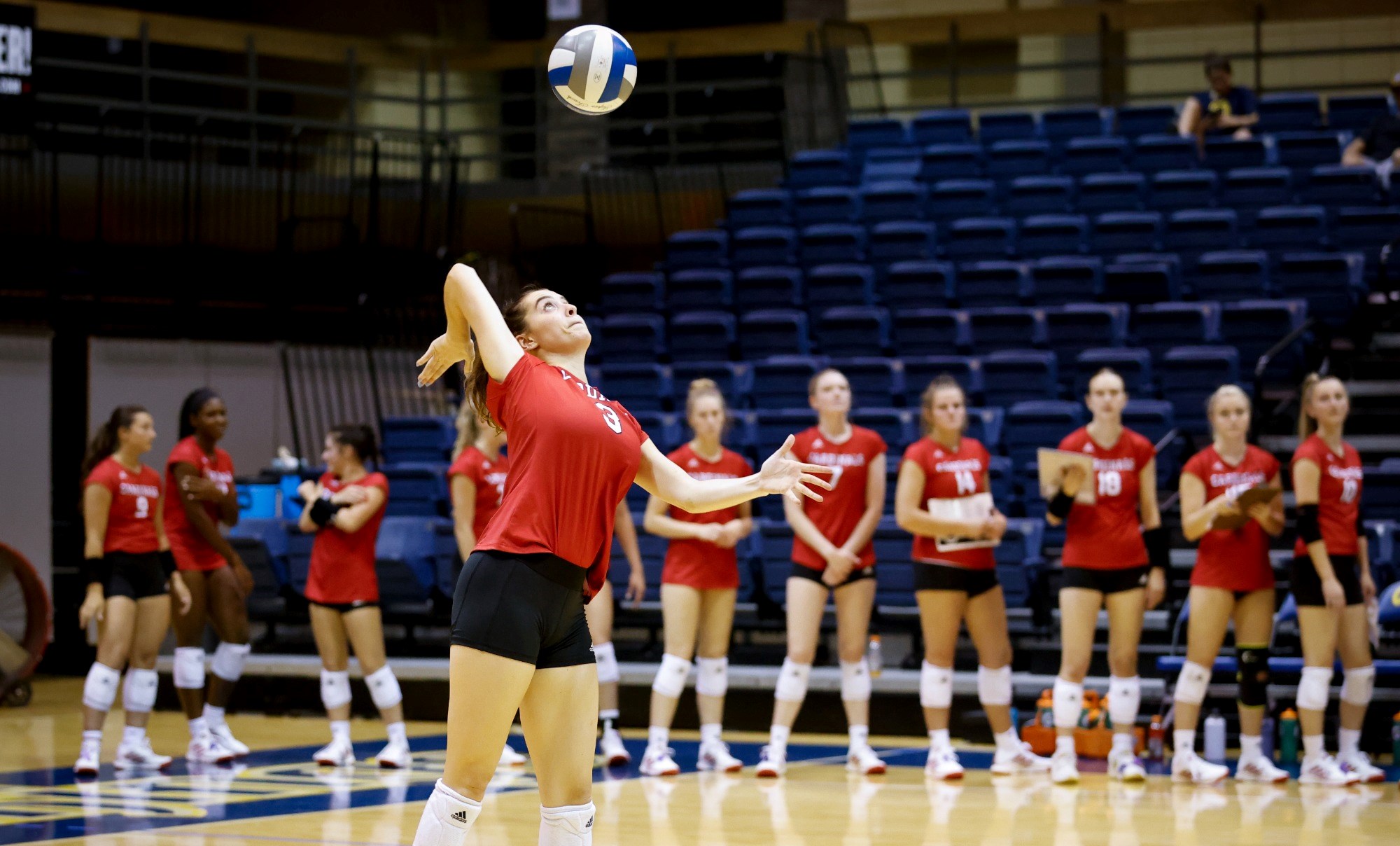 Taylor O'Malley - Women's Volleyball - North Central College Athletics