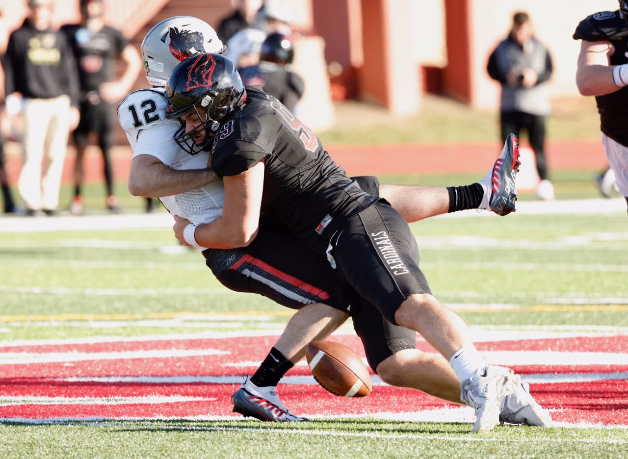 Tyler Rich - Football - North Central College Athletics