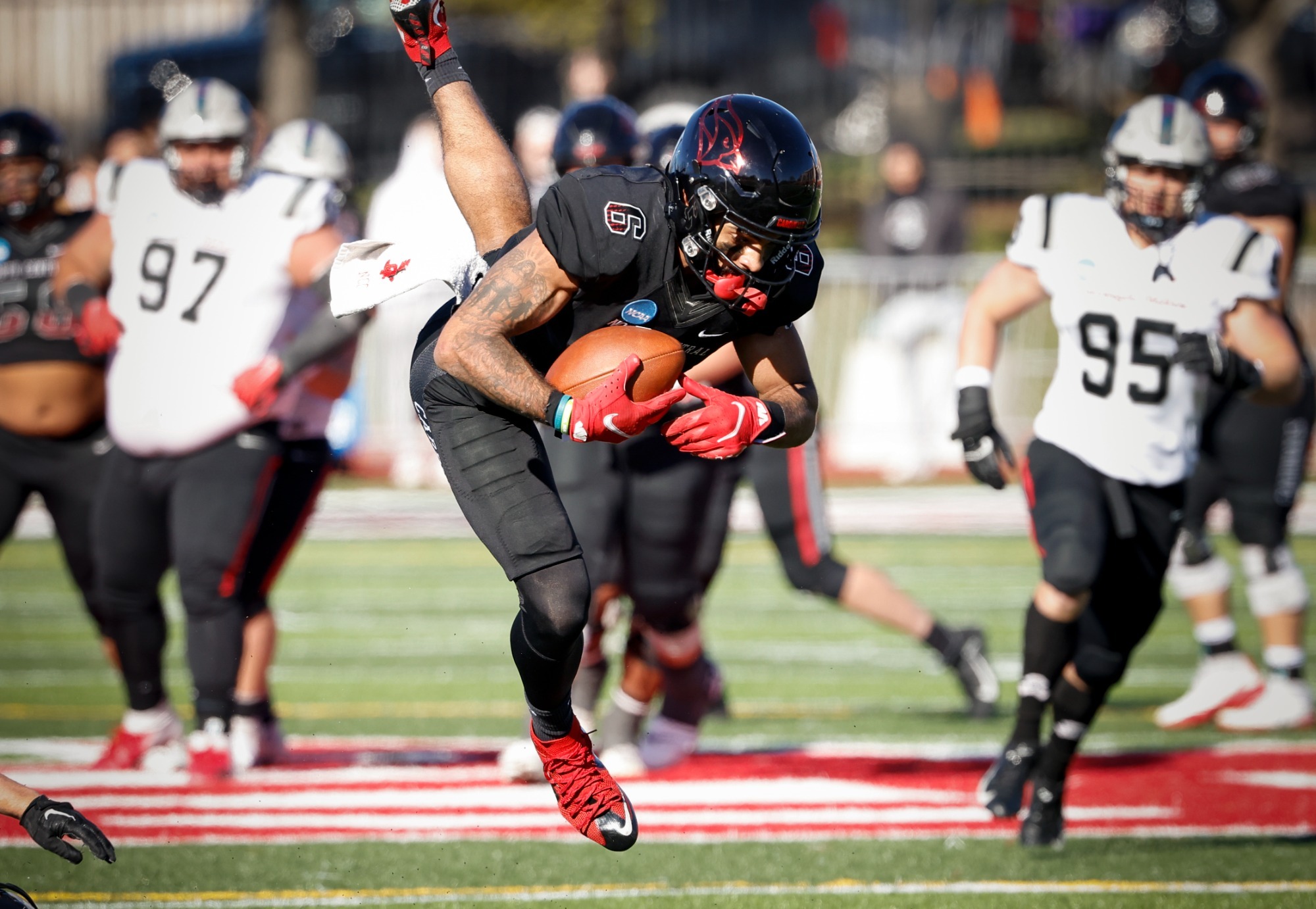 David Deangelo Height