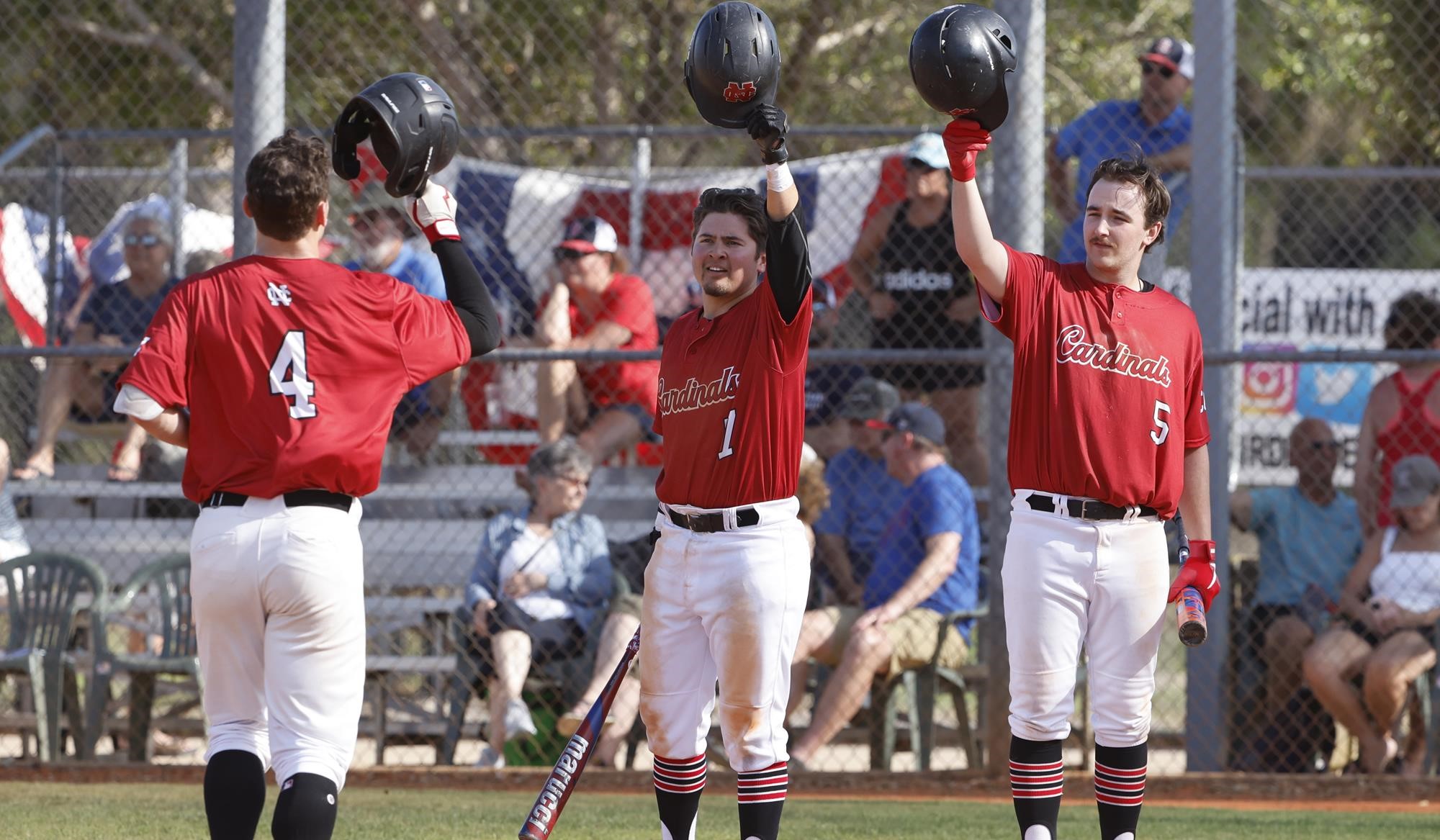 Baseball Wins Two Over IIT in Home Opener - North Central College Athletics
