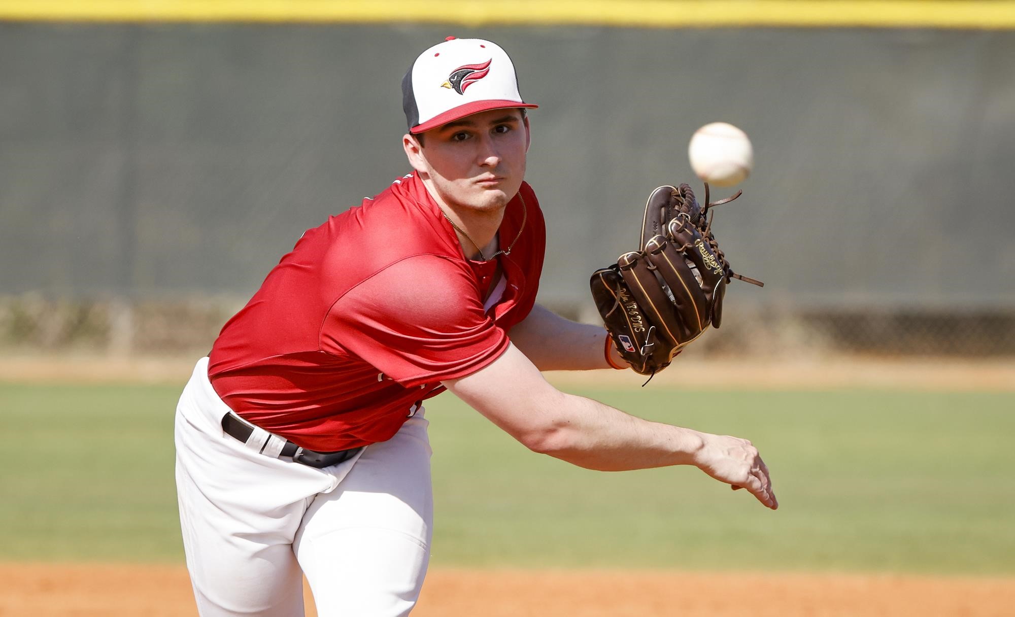 Jason Shanner - Baseball - North Central College Athletics