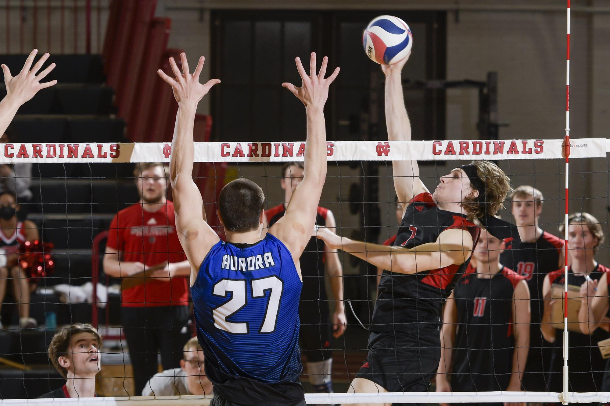 Jared Moser - Men's Volleyball - North Central College Athletics