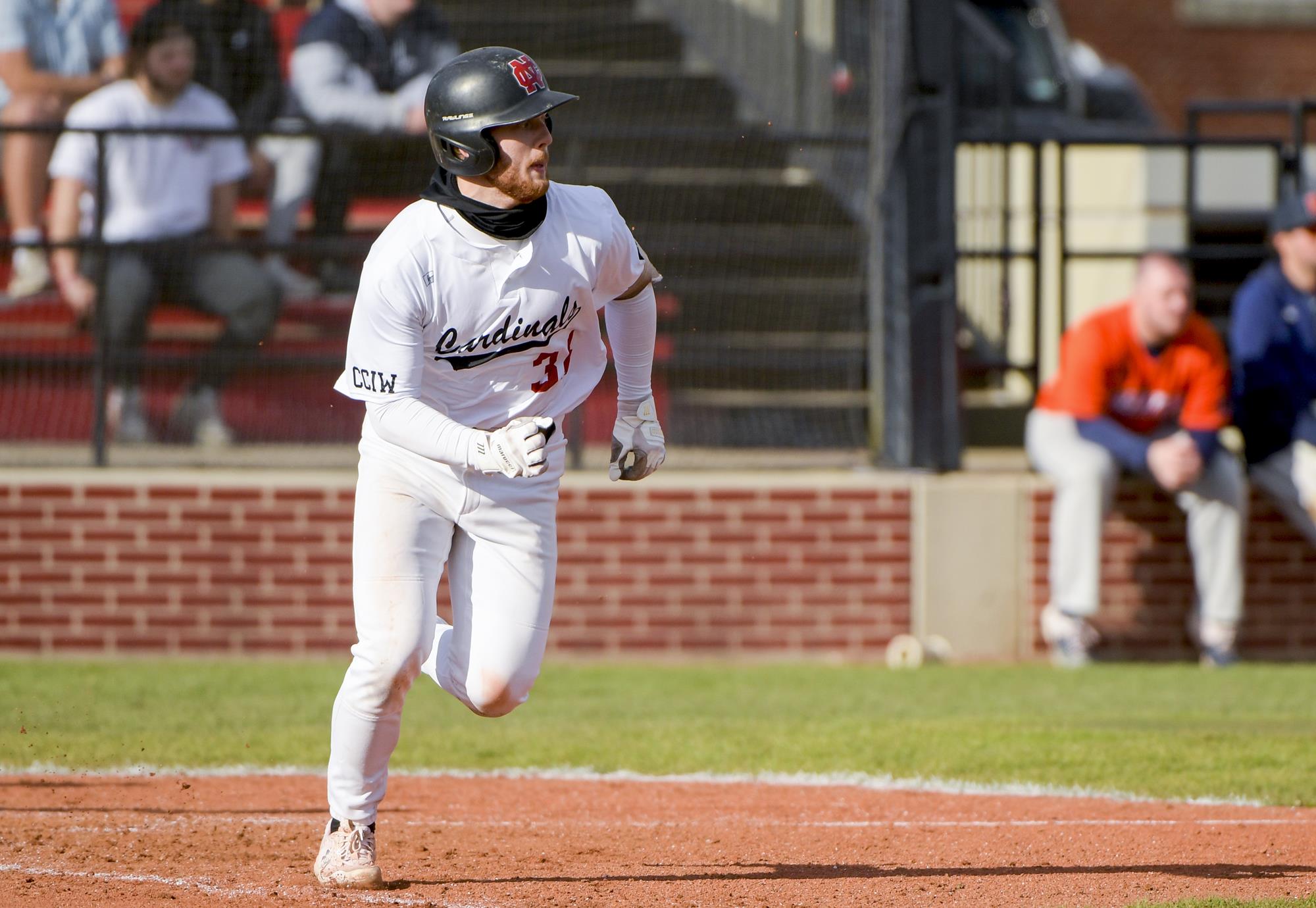 Brad Novak - Baseball - North Central College Athletics