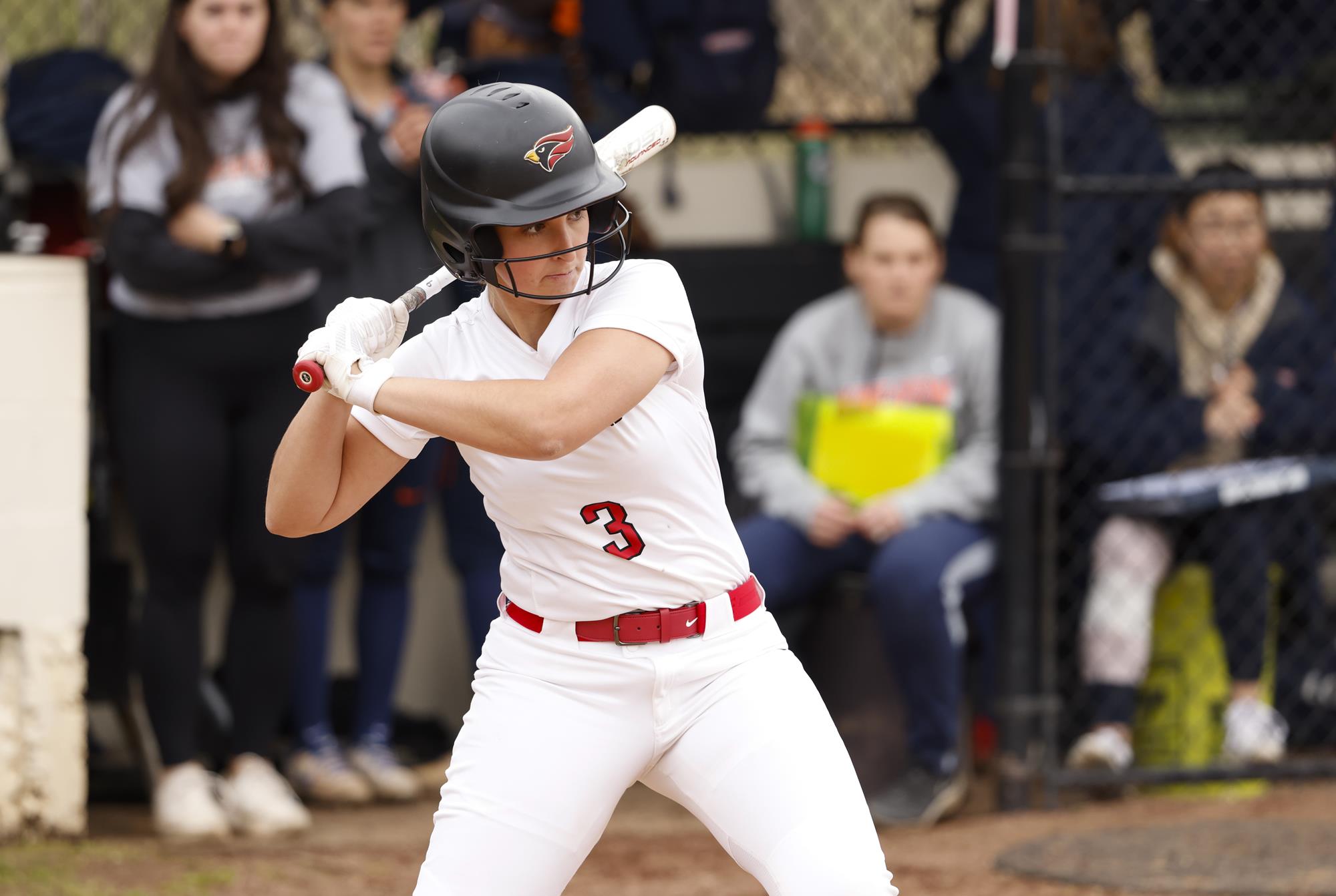 Allison Lambert - Softball - North Central College Athletics