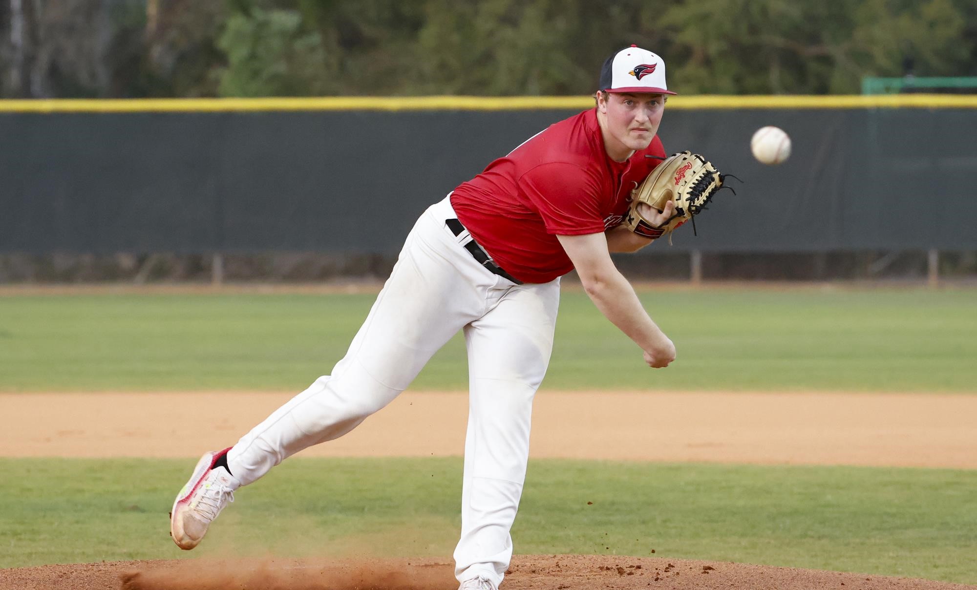 Luke Lamm - Baseball - North Central College Athletics