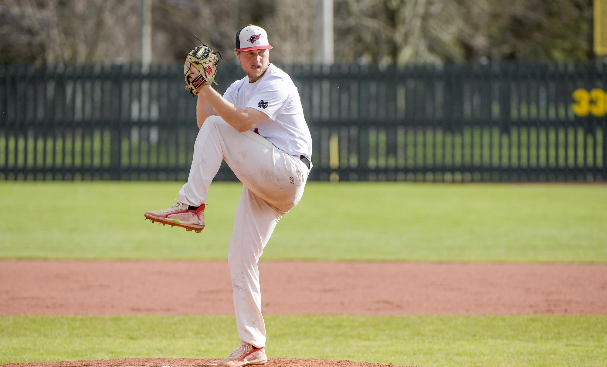 Luke Lamm - Baseball - North Central College Athletics