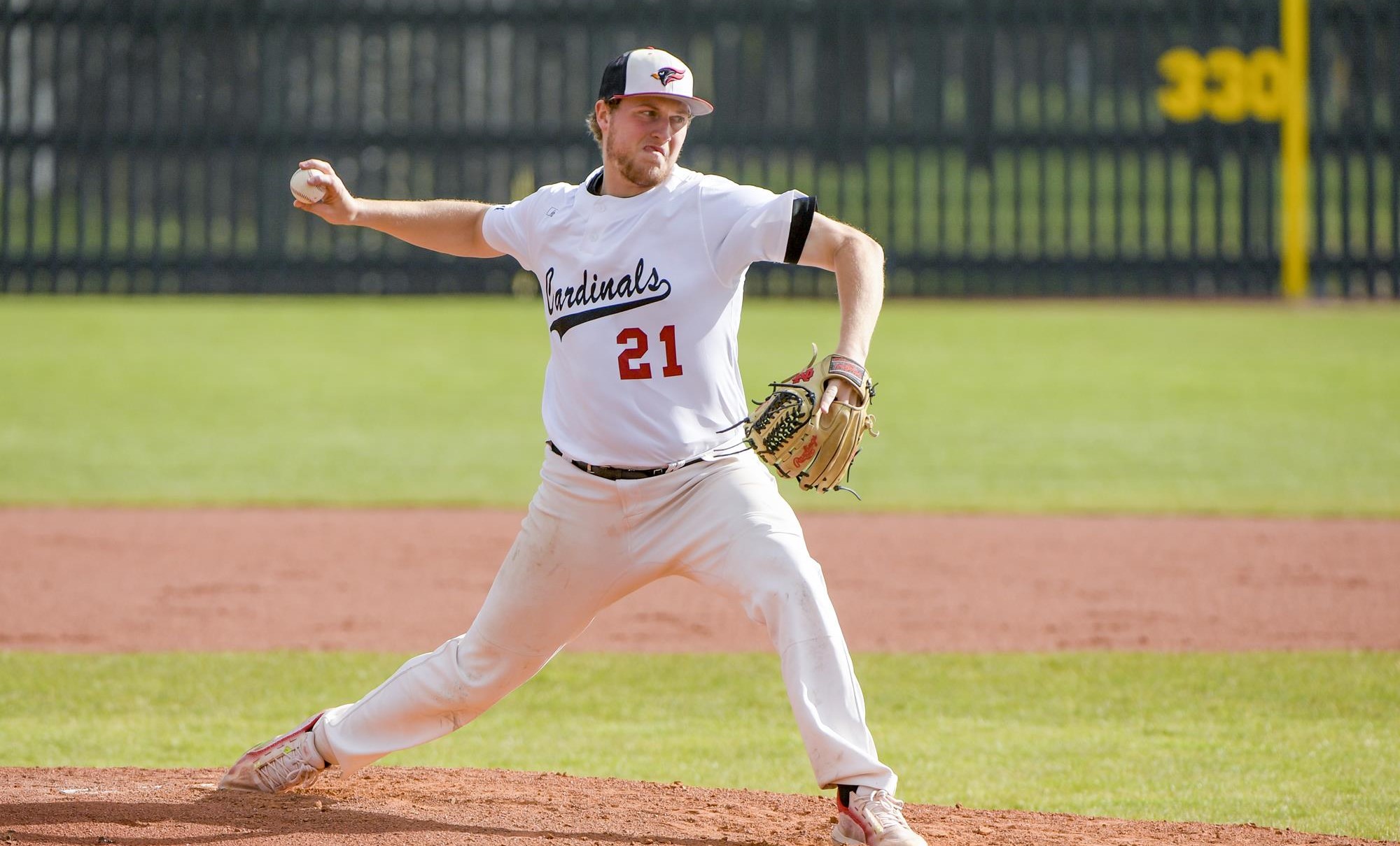 Luke Lamm - Baseball - North Central College Athletics