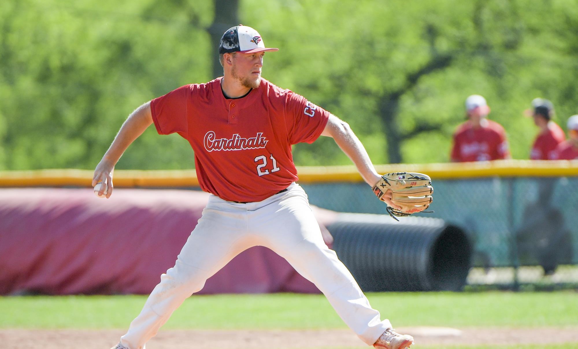 Luke Lamm - Baseball - North Central College Athletics