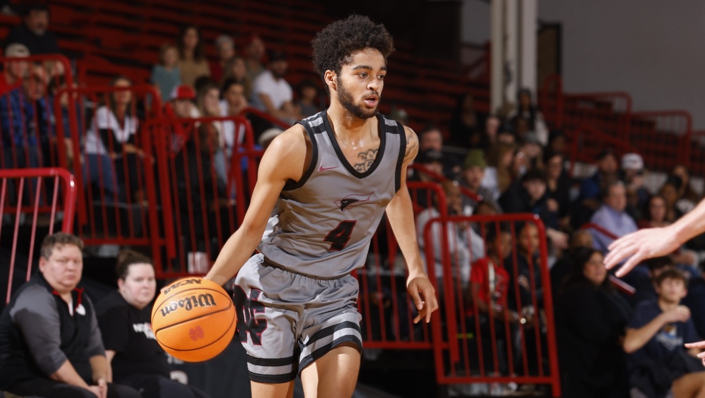 Nick Smoldt - Men's Basketball - North Central College Athletics