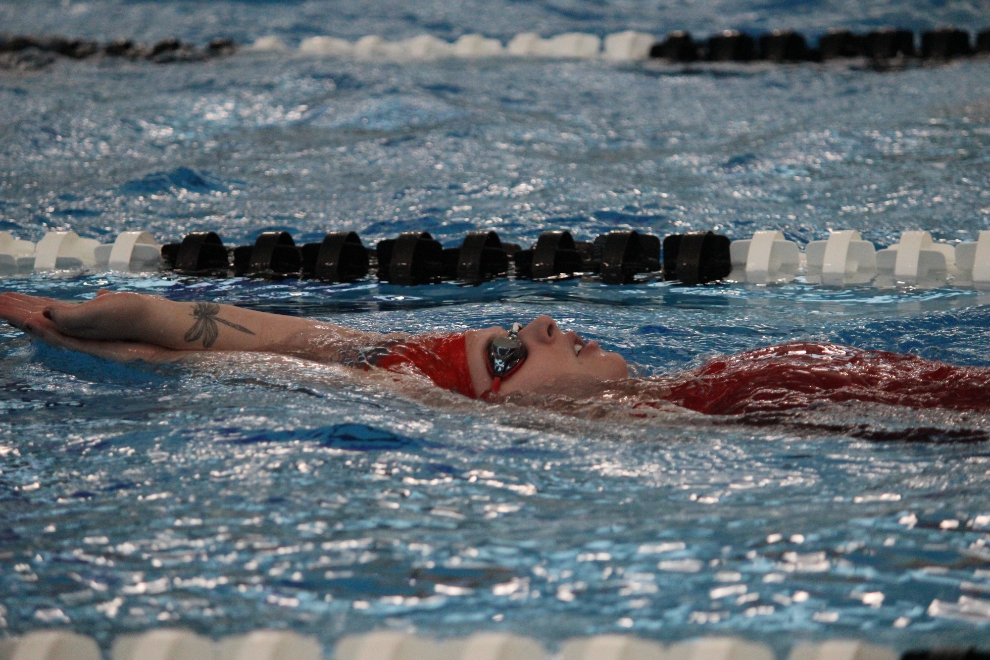 Swimming Begins 2023 Campaign Against Augustana - North Central College ...