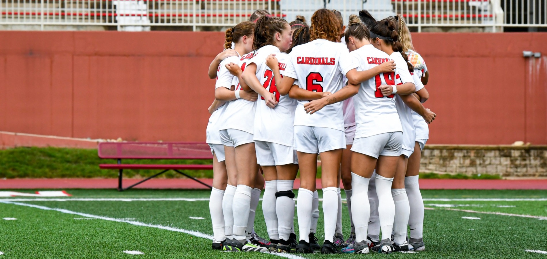 Cardinals Earn Program High Eight CCIW Selections - North Central ...