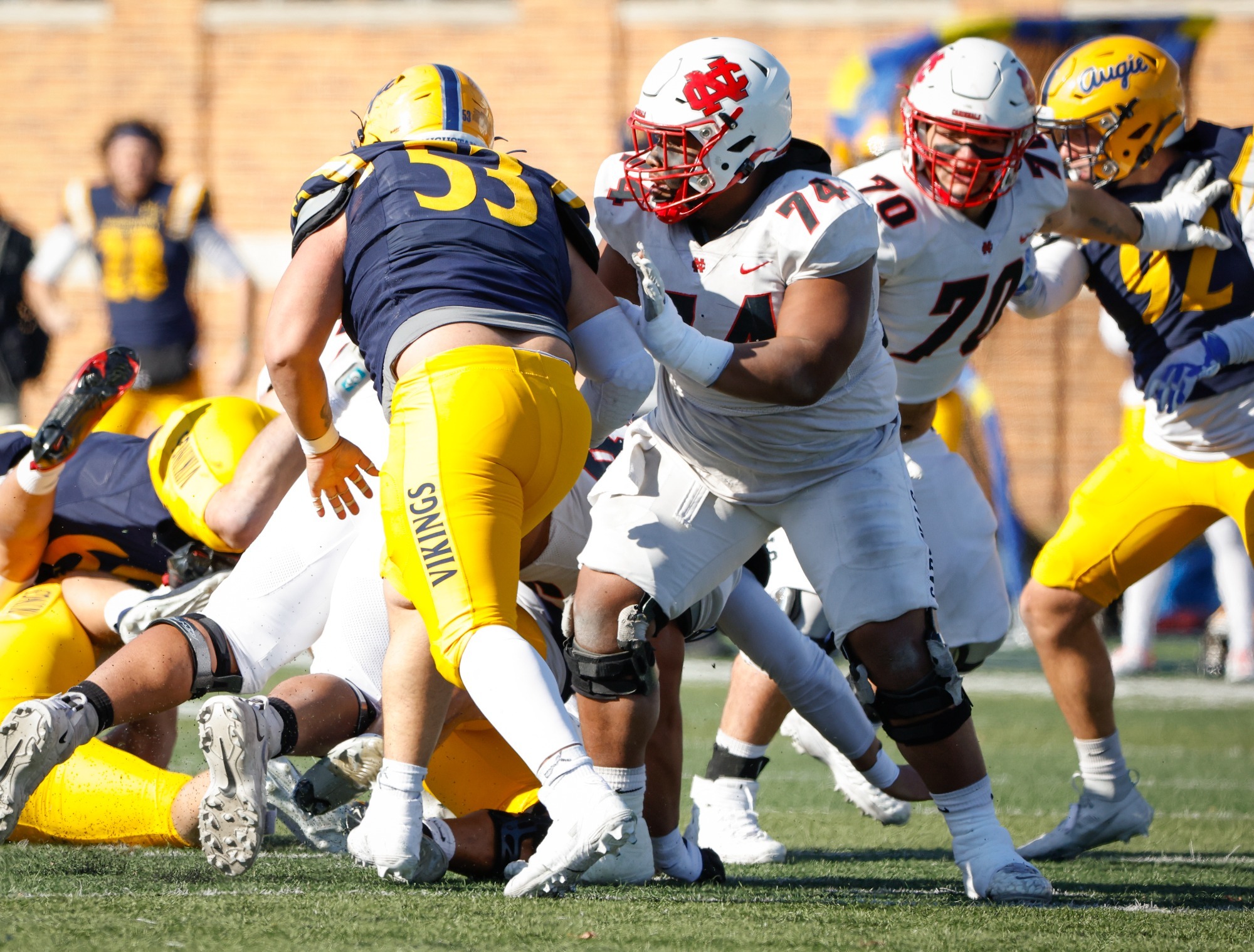 Jarod Thornton - Football - North Central College Athletics