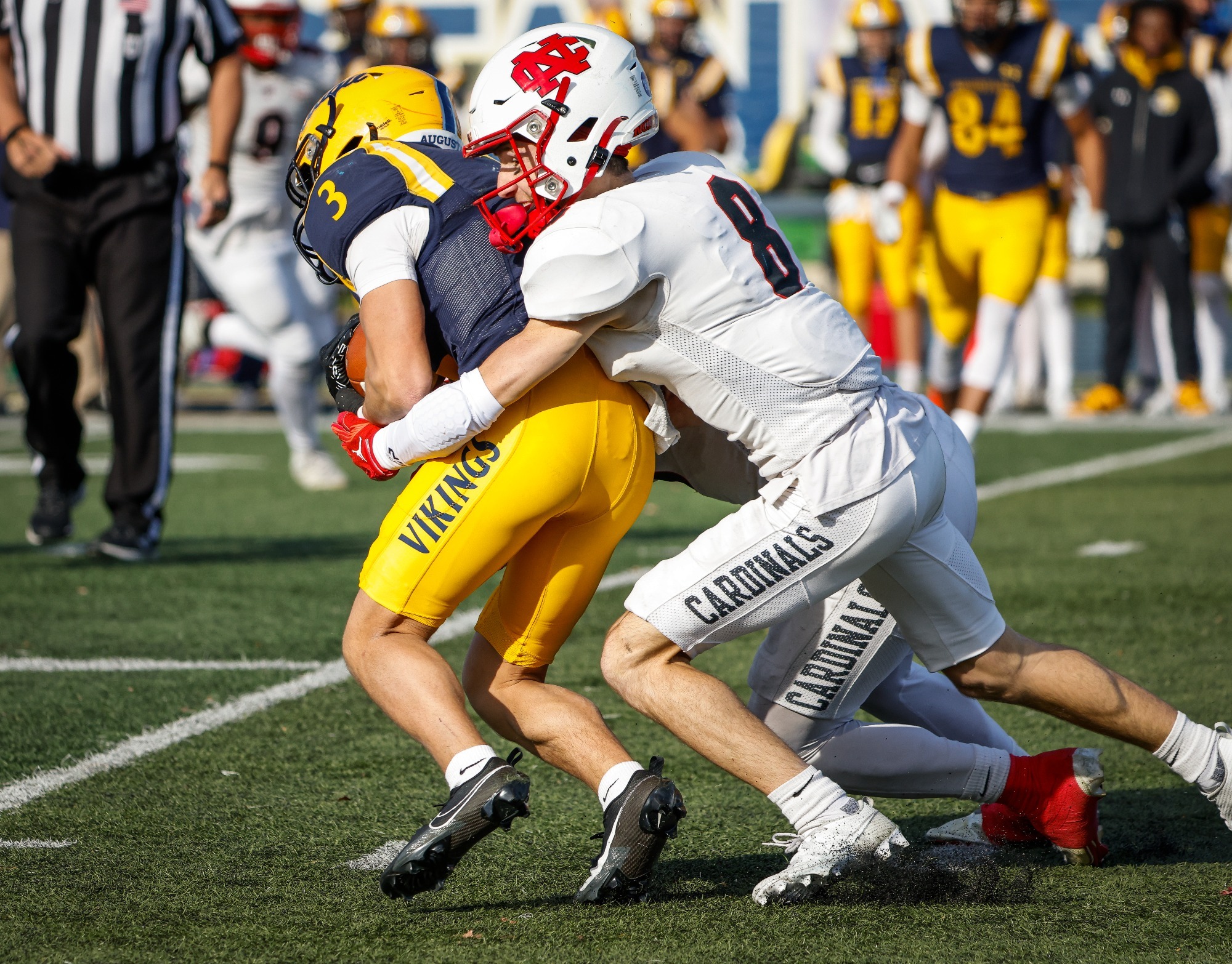 Nic Rummell - Football - North Central College Athletics