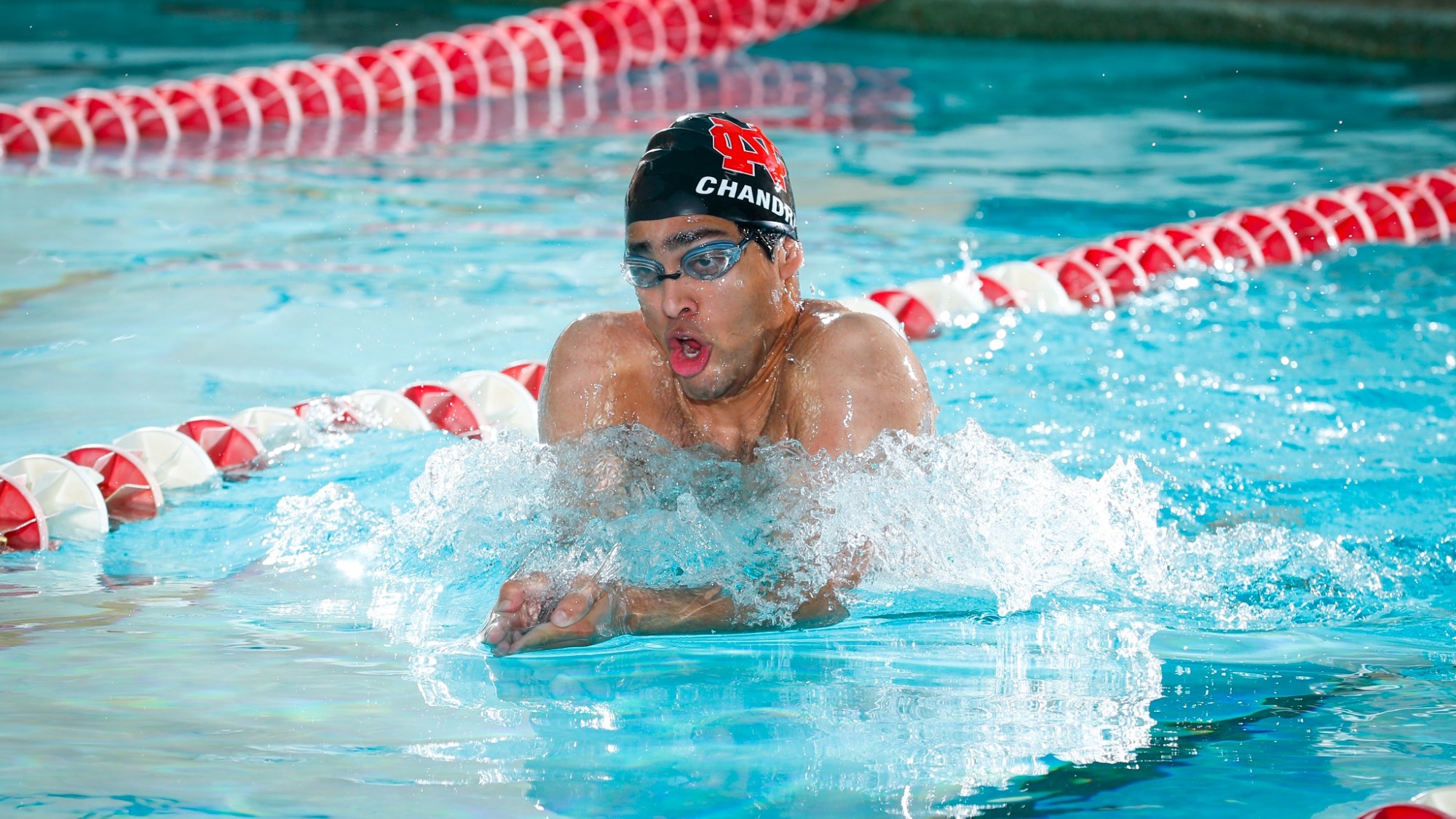 Richardson Named Head Swimming & Diving Coach - North Central College ...