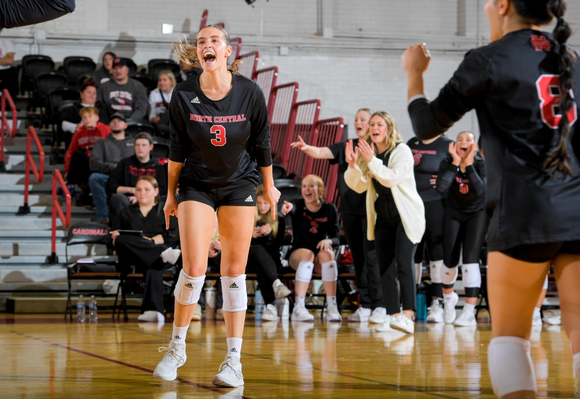 Taylor O'Malley - Women's Volleyball - North Central College Athletics