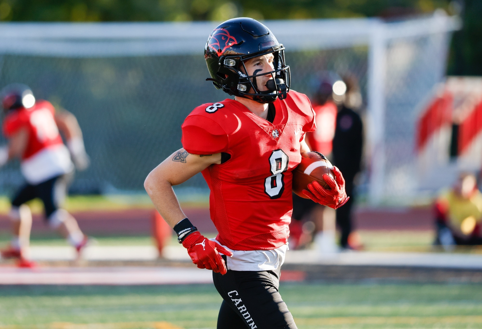 Nic Rummell - Football - North Central College Athletics