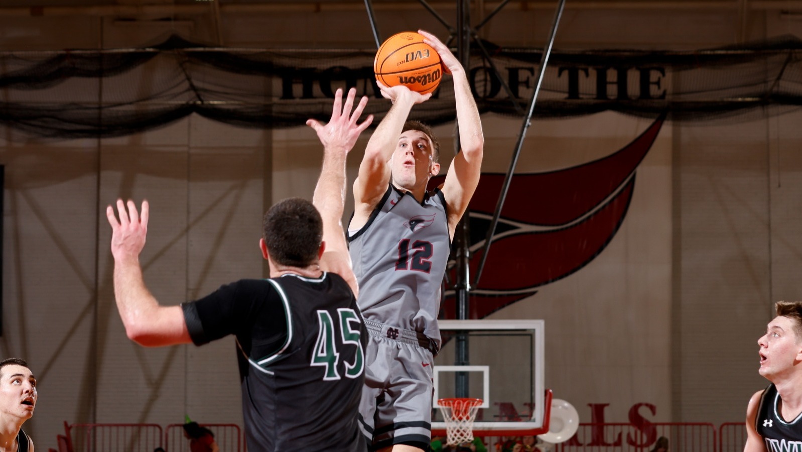 Matt Helwig - Men's Basketball - North Central College Athletics