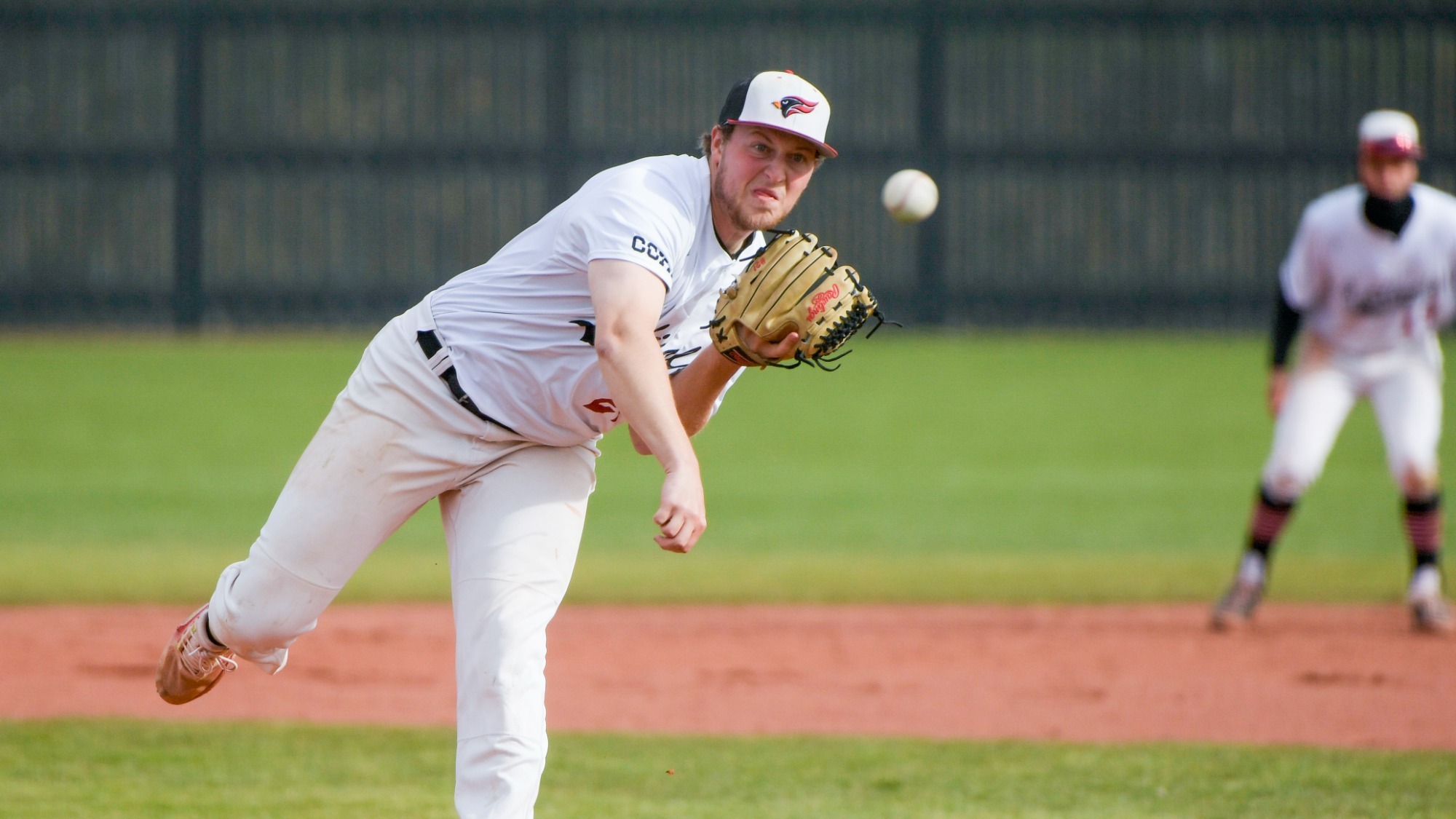Luke Lamm - Baseball - North Central College Athletics