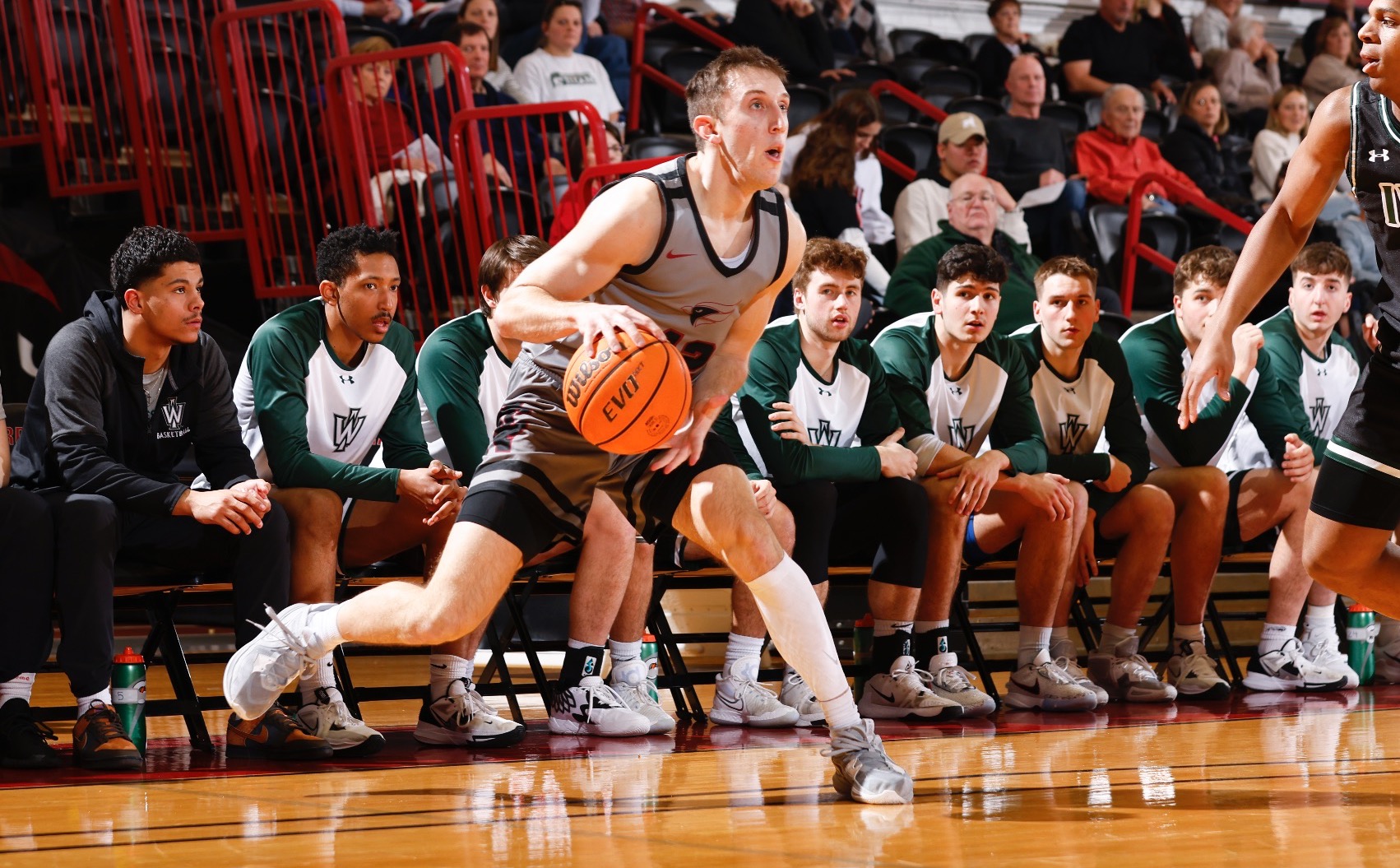 Matt Helwig - Men's Basketball - North Central College Athletics